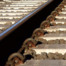 Rail shoulder, Rail insert, Sleeper insert, Rail Clip- GK Railway
